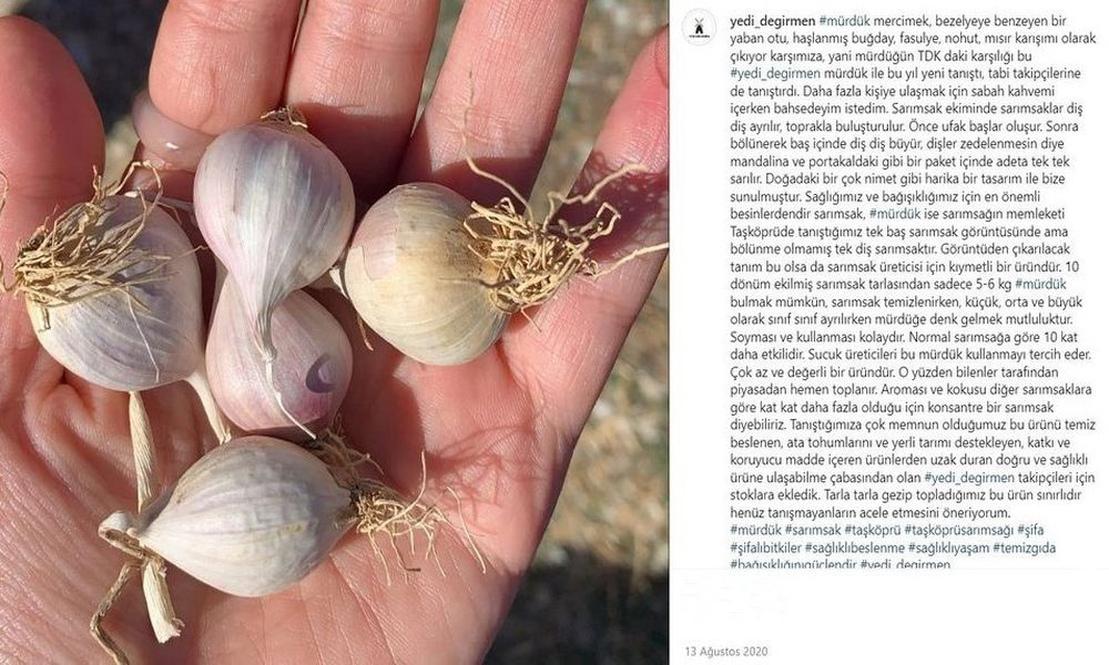 Yerli Mürdük Sarımsak 200 G - Yedi Değirmen