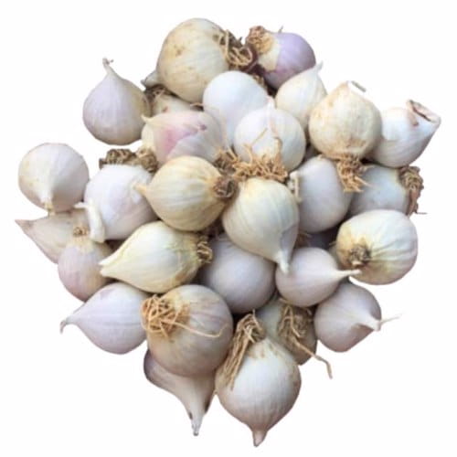 Yerli Mürdük Sarımsak 200 G - Yedi Değirmen